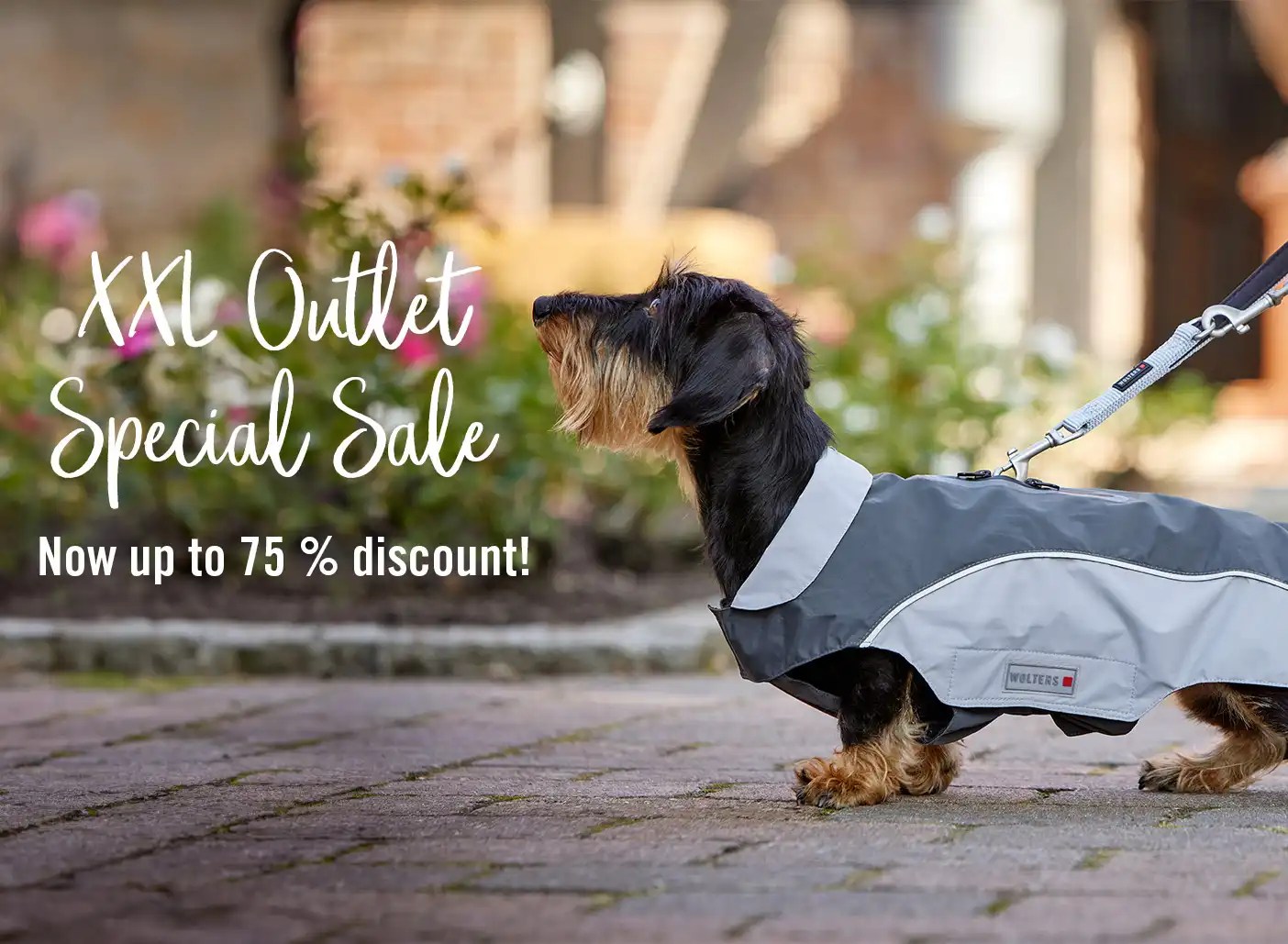 Products for dogs and cats | WOLTERS cat & dog GmbH