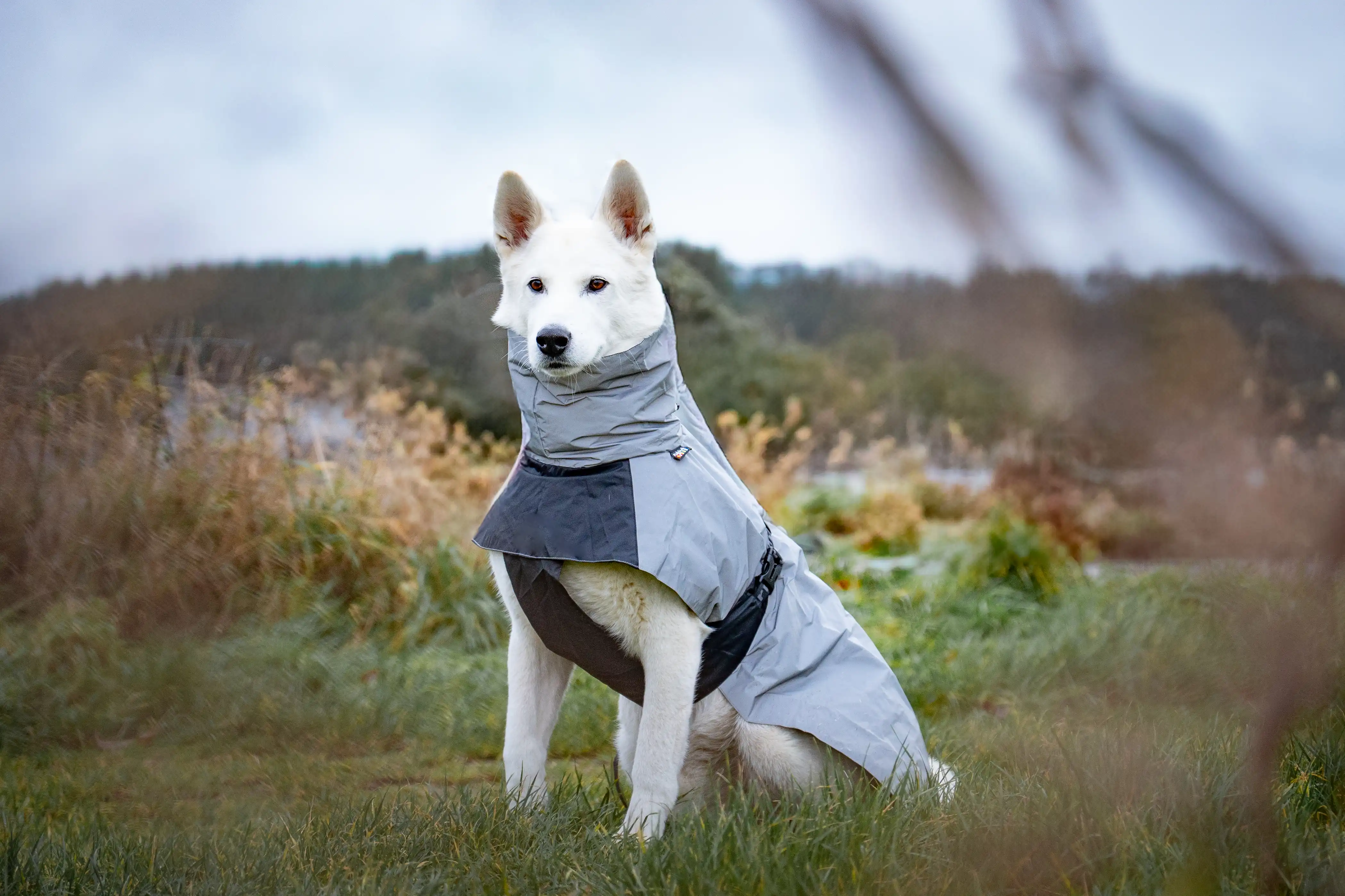 Rukka Pets| WOLTERS cat & dog GmbH